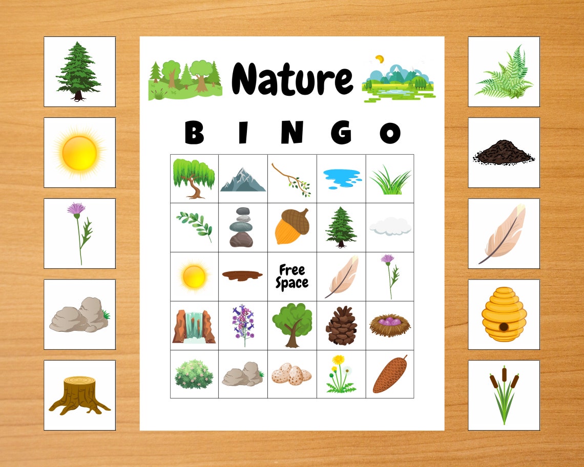 Nature Bingo Digital Download Printable Play Based Activity - Etsy