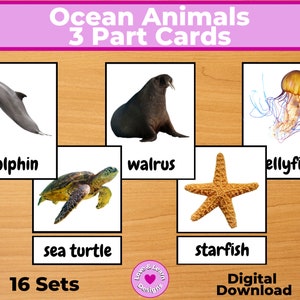Ocean Animals Theme 3 Part Cards| Printable Digital Download ...