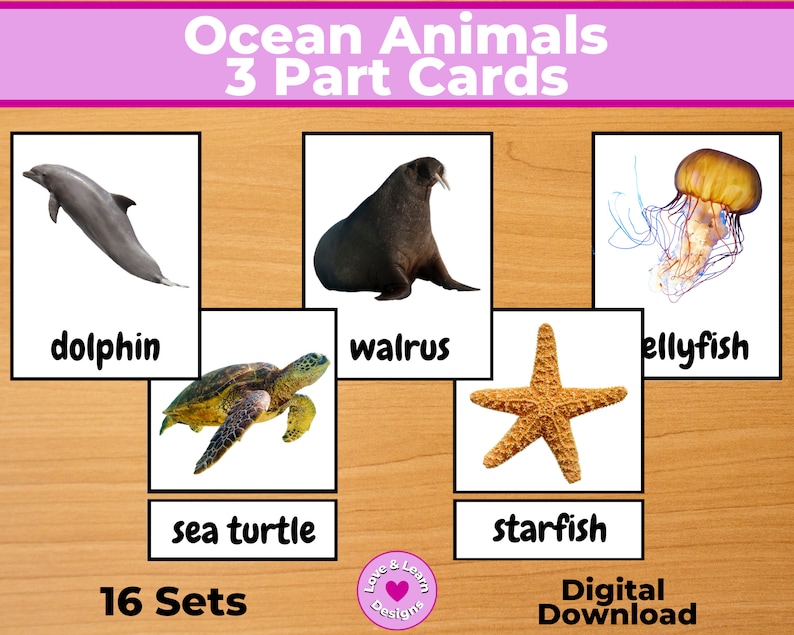 Ocean Animals Theme 3 Part Cards| Printable Digital Download ...