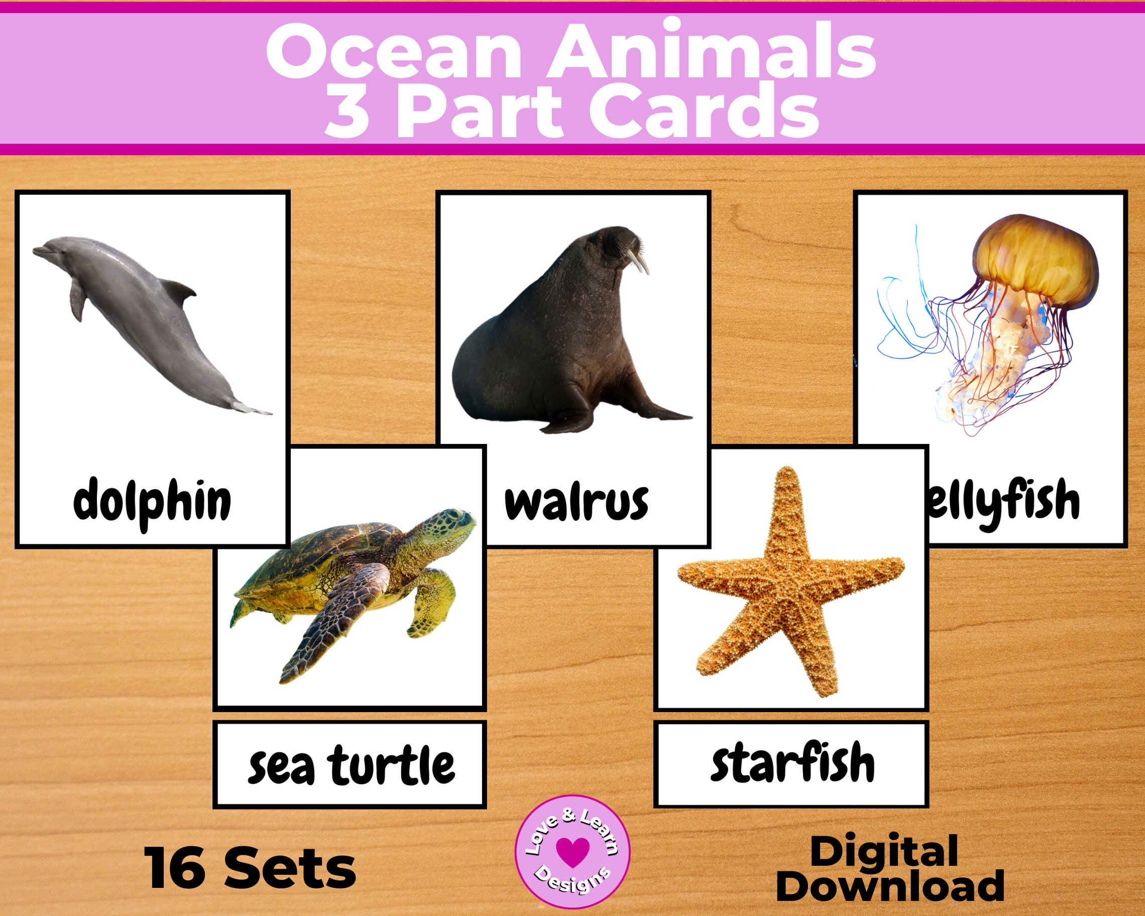 Ocean Animals Theme 3 Part Cards| Printable Digital Download ...