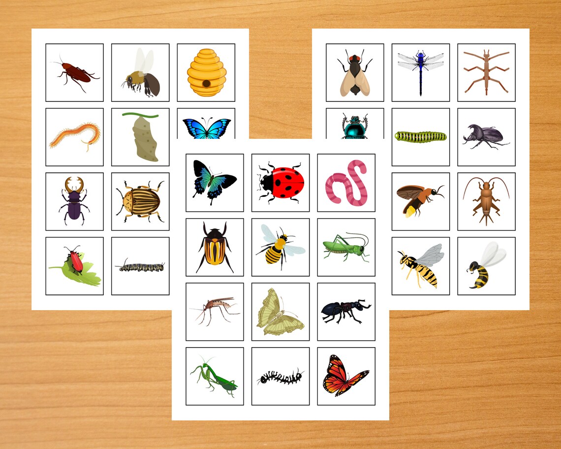 Insects I Spy Matching Game Digital Download| Printable Play Based ...