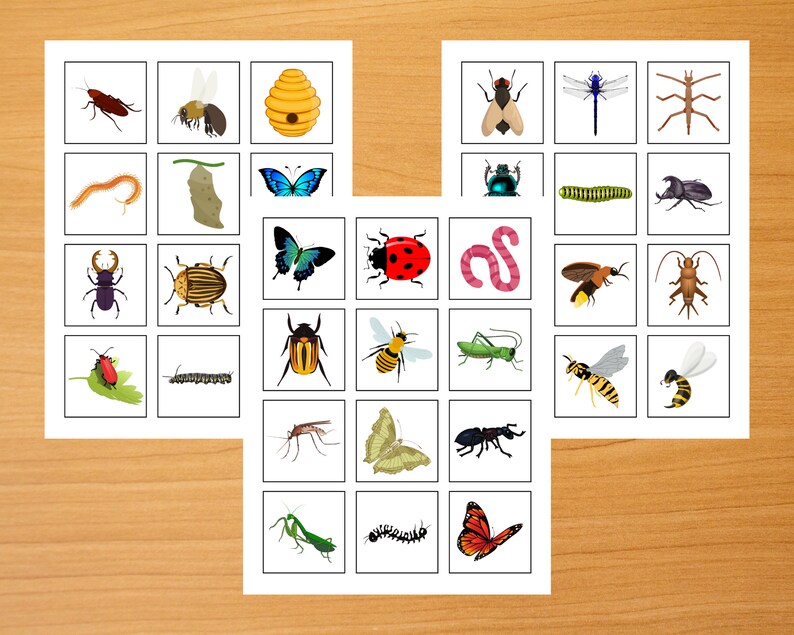 Insects I Spy Matching Game Digital Download| Printable Play Based ...