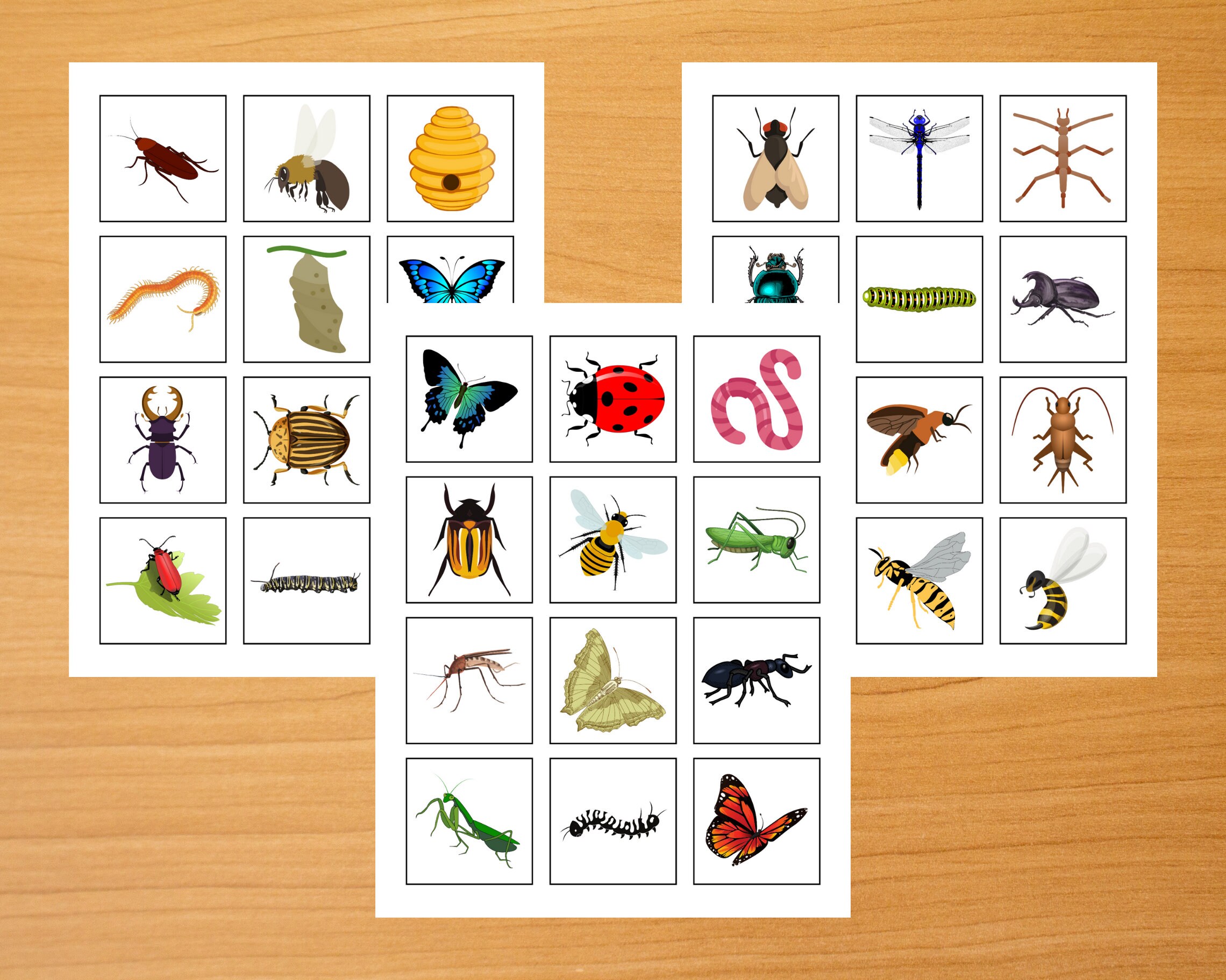 Insects I Spy Matching Game Digital Download| Printable Play Based ...