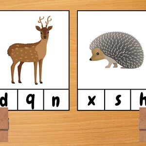Woodland Animal Beginning Letter Sound Clip Cards| Printable Digital ...