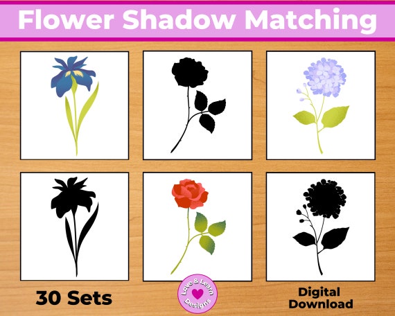 Flower Shadow Matching Cards Printable Digital Download - Etsy
