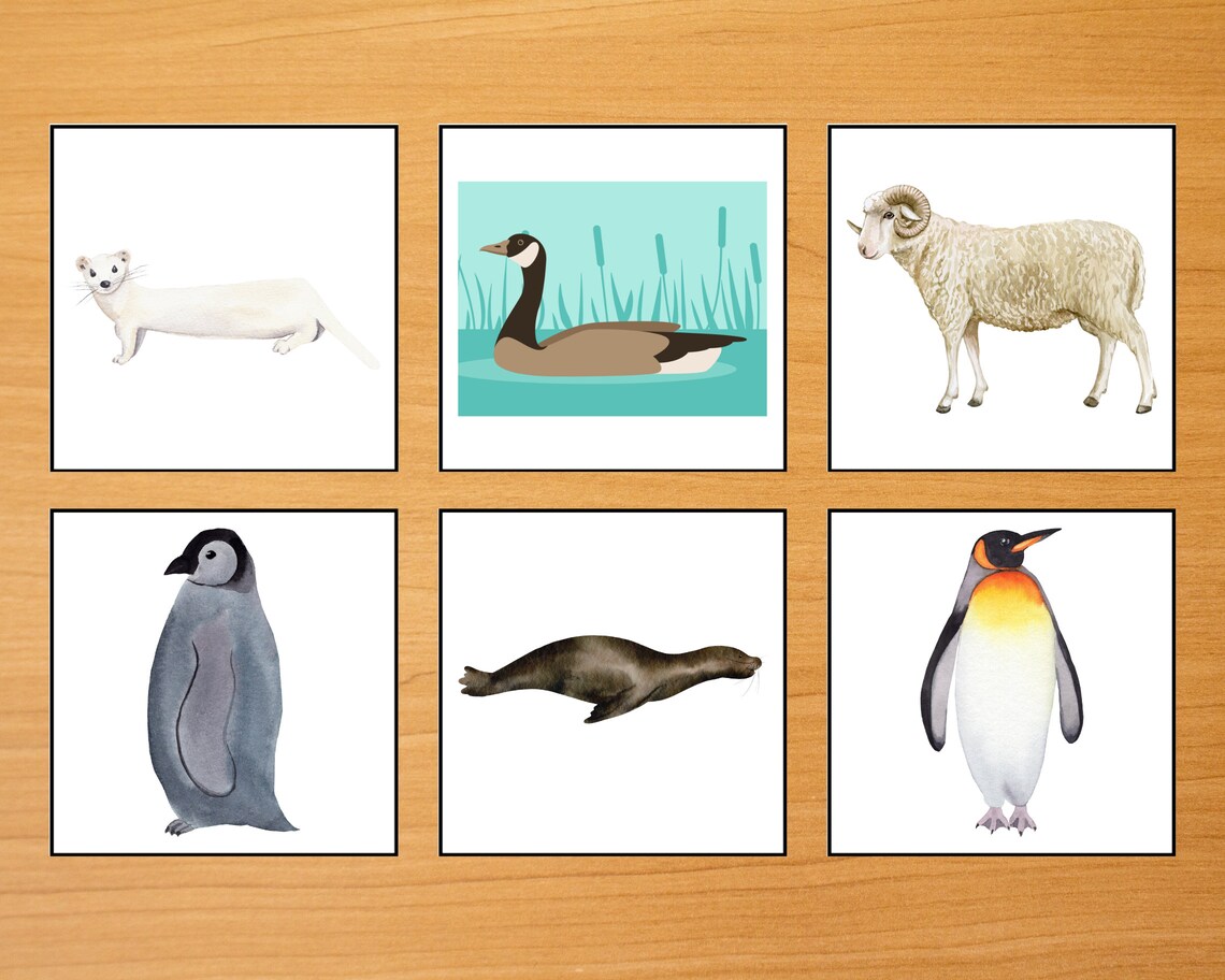 Polar Animals I Spy Matching Game Digital Download Printable Play Based ...