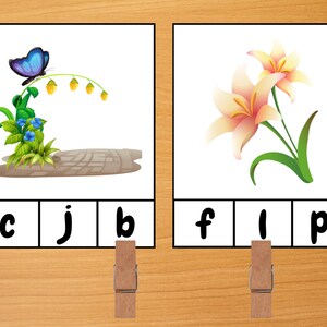 Flowers Beginning Letter Sound Clip Cards| Printable Digital Download ...
