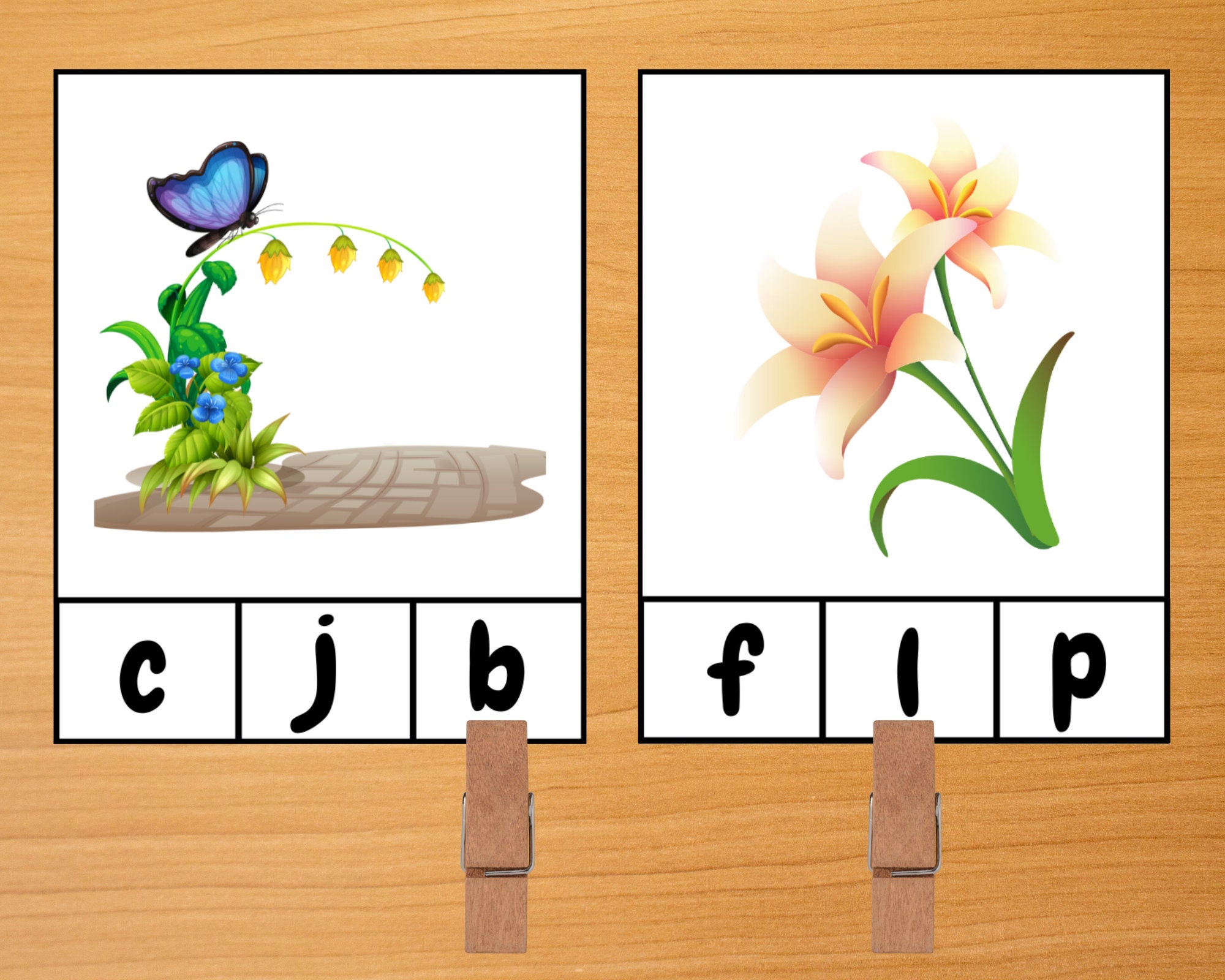 Flowers Beginning Letter Sound Clip Cards| Printable Digital Download ...