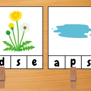 Nature Beginning Letter Sound Clip Cards| Printable Digital Download ...