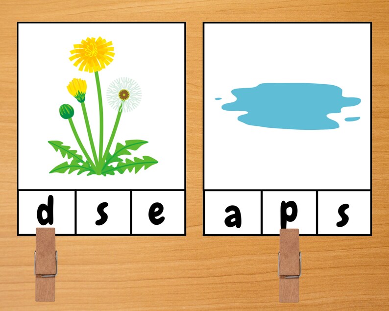 Nature Beginning Letter Sound Clip Cards| Printable Digital Download ...
