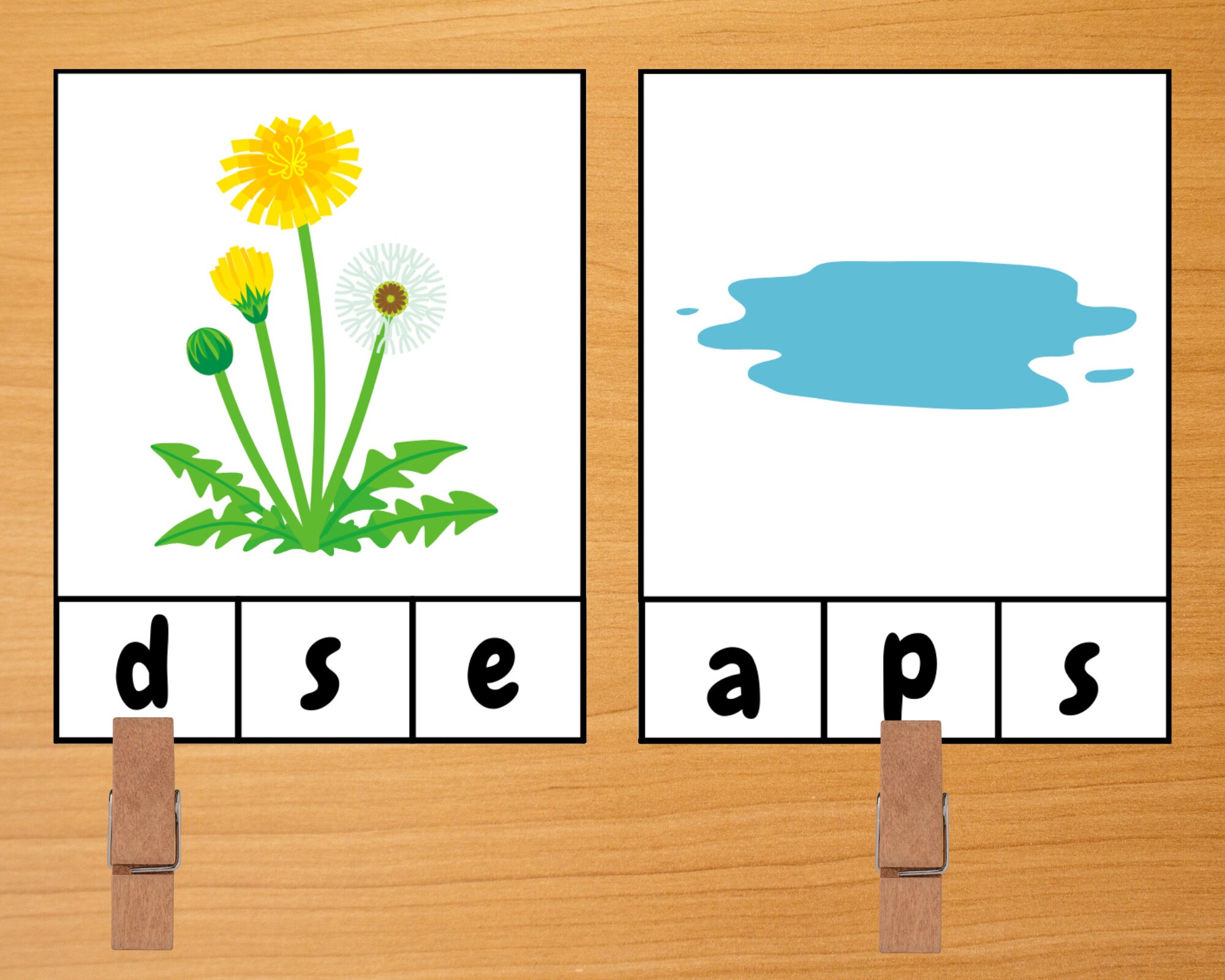 Nature Beginning Letter Sound Clip Cards| Printable Digital Download ...