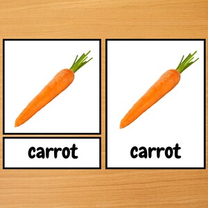 Vegetables Theme 3 Part Cards Printable Digital Download Montessori ...