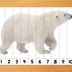 Polar Animals Number Sequence Puzzles| Child Inspired Printables ...
