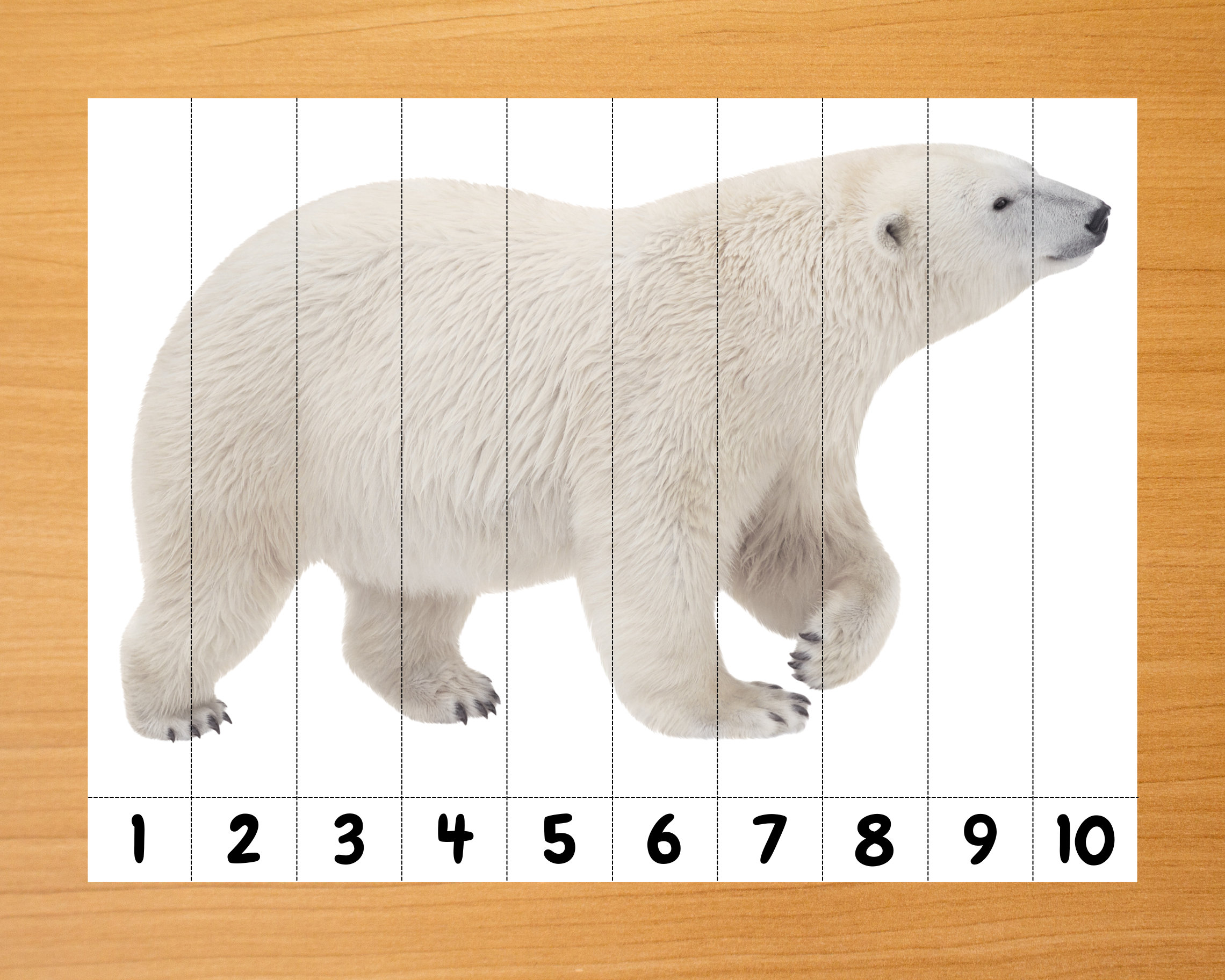 Polar Animals Number Sequence Puzzles| Child Inspired Printables ...