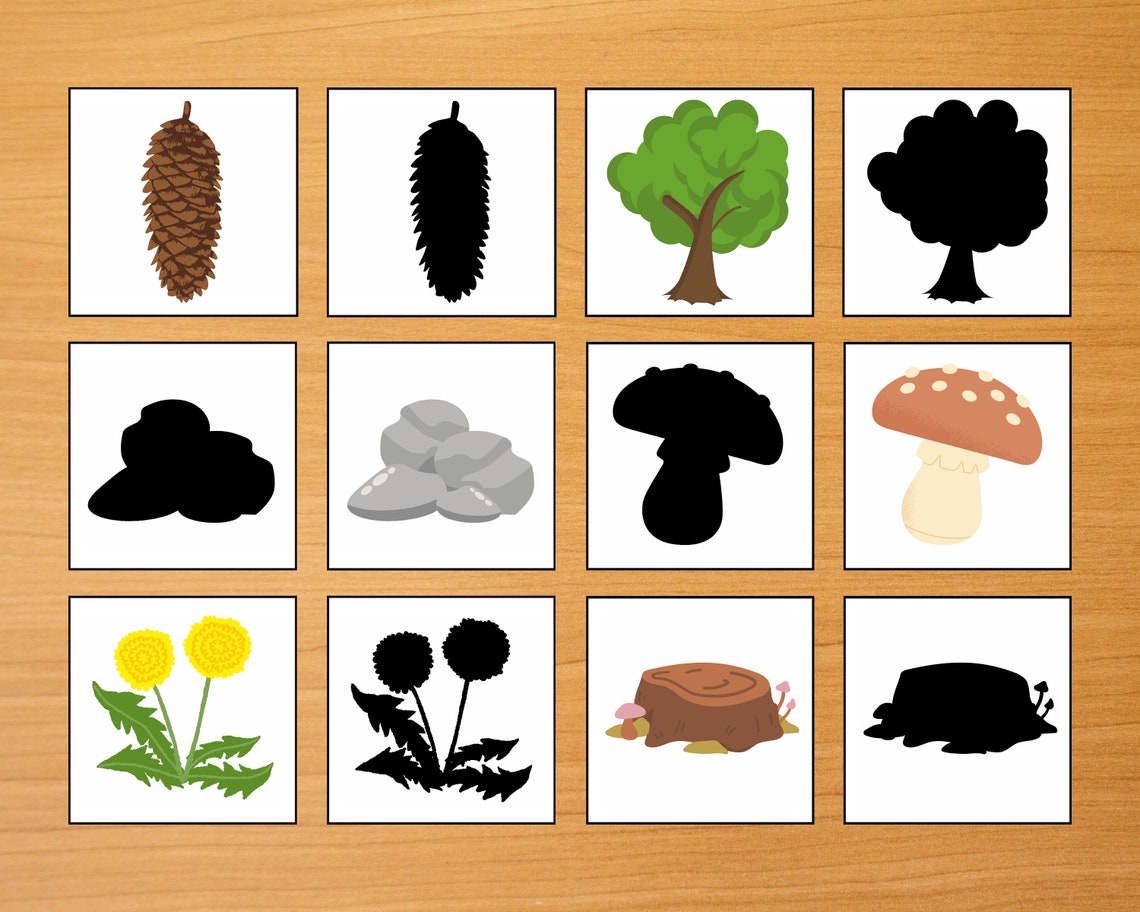 Nature Shadow Matching Cards Printable Digital Download| Montessori ...
