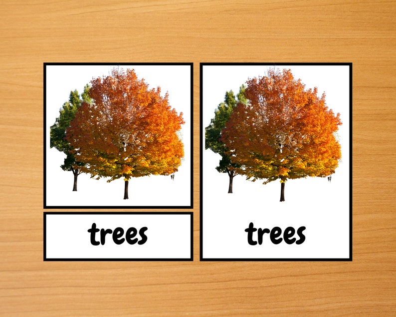 Autumn 3 Part Cards| Child Inspired Printable| Digital Download ...