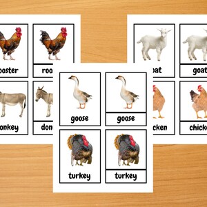 Farm 3 Part Cards| Child Inspired Printable| Educational Digital ...