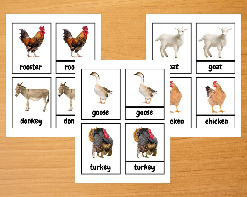 Farm 3 Part Cards| Child Inspired Printable| Educational Digital ...