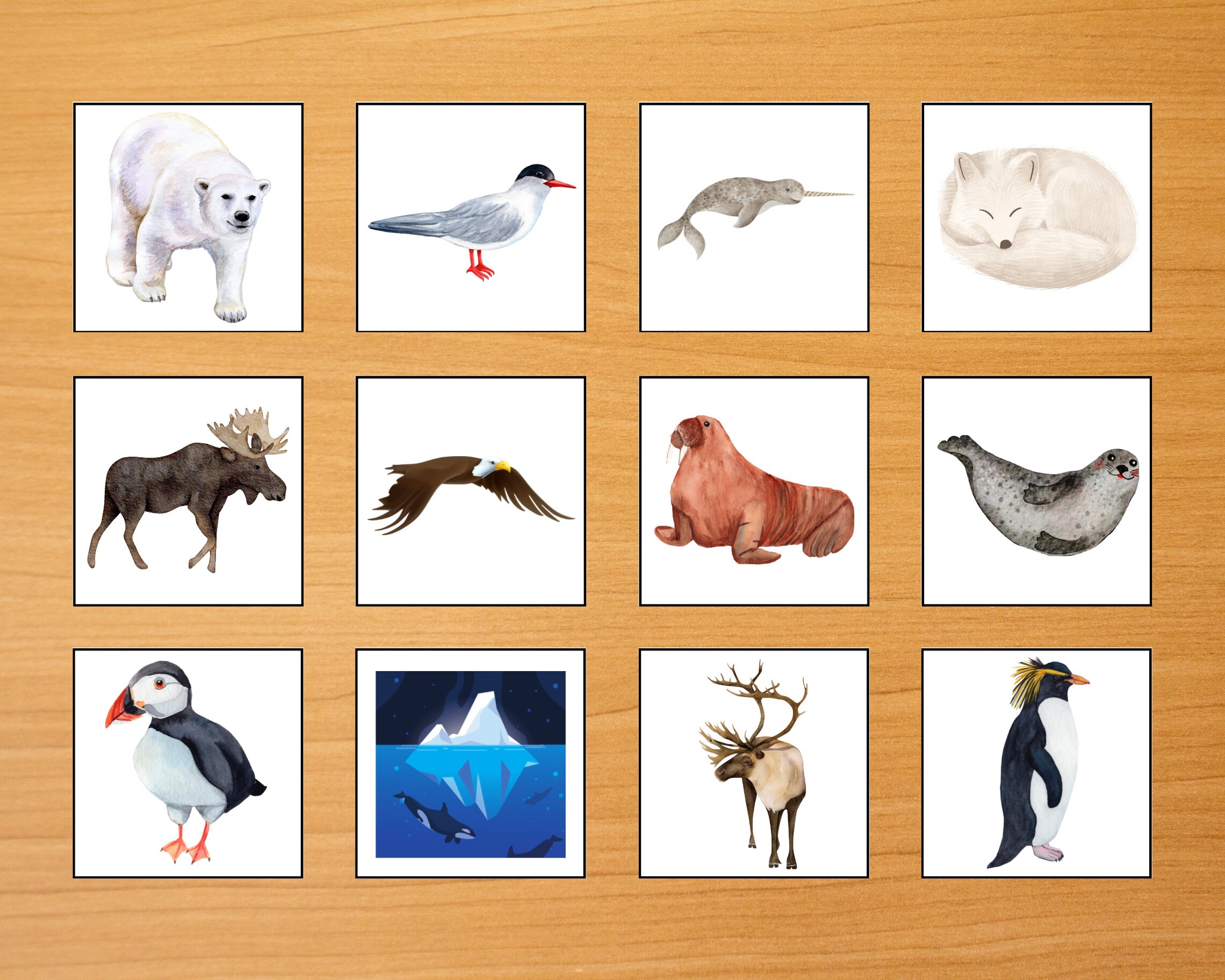 Polar Animals I Spy Matching Game Digital Download Printable Play Based ...