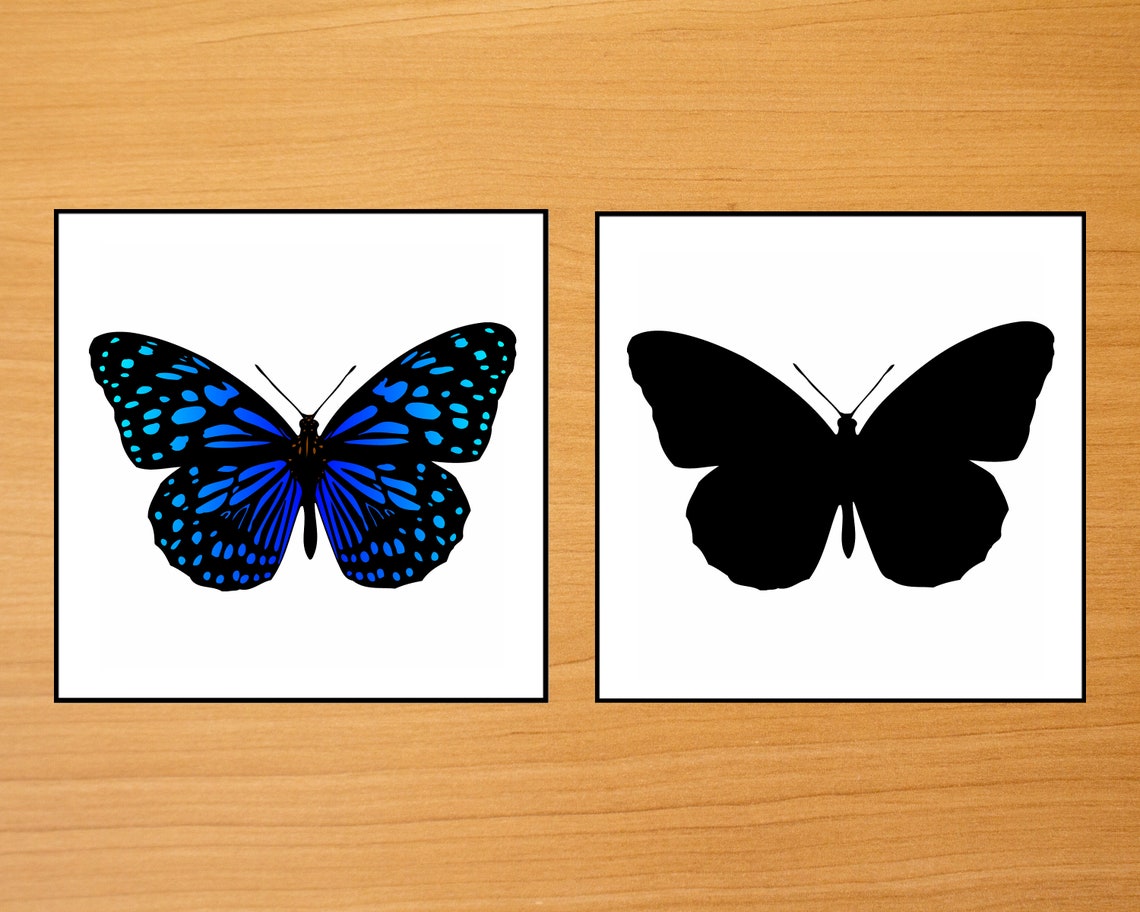 Insect Shadow Matching Cards Printable Digital Download - Etsy