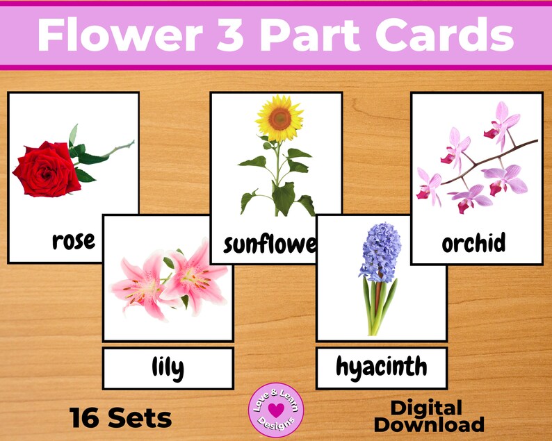 Flower Theme 3 Part Cards| Printable Digital Download| Montessori ...