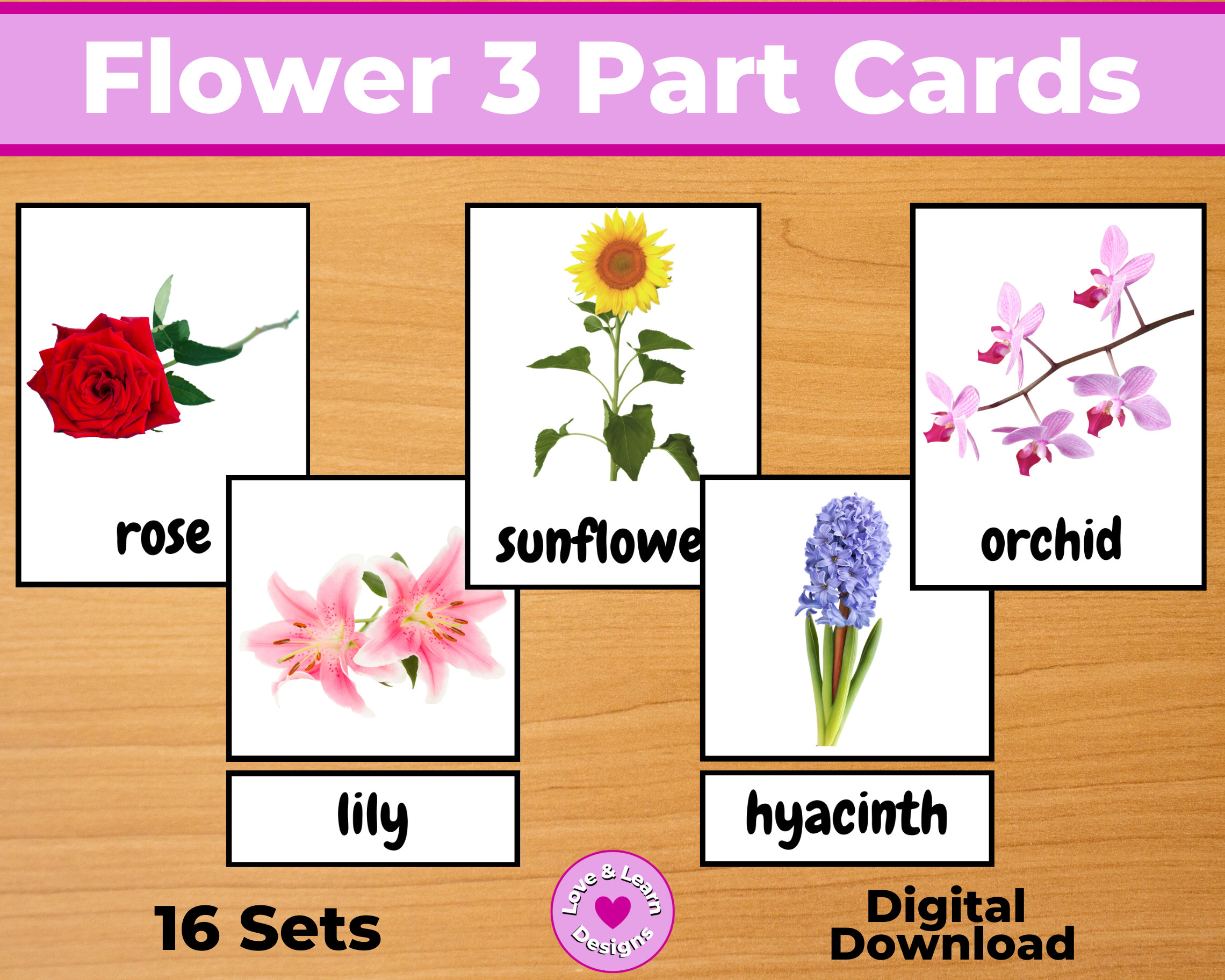 Flower Theme 3 Part Cards| Printable Digital Download| Montessori ...