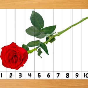 Flower Number Sequence Puzzles| Child Inspired Printables| Digital ...