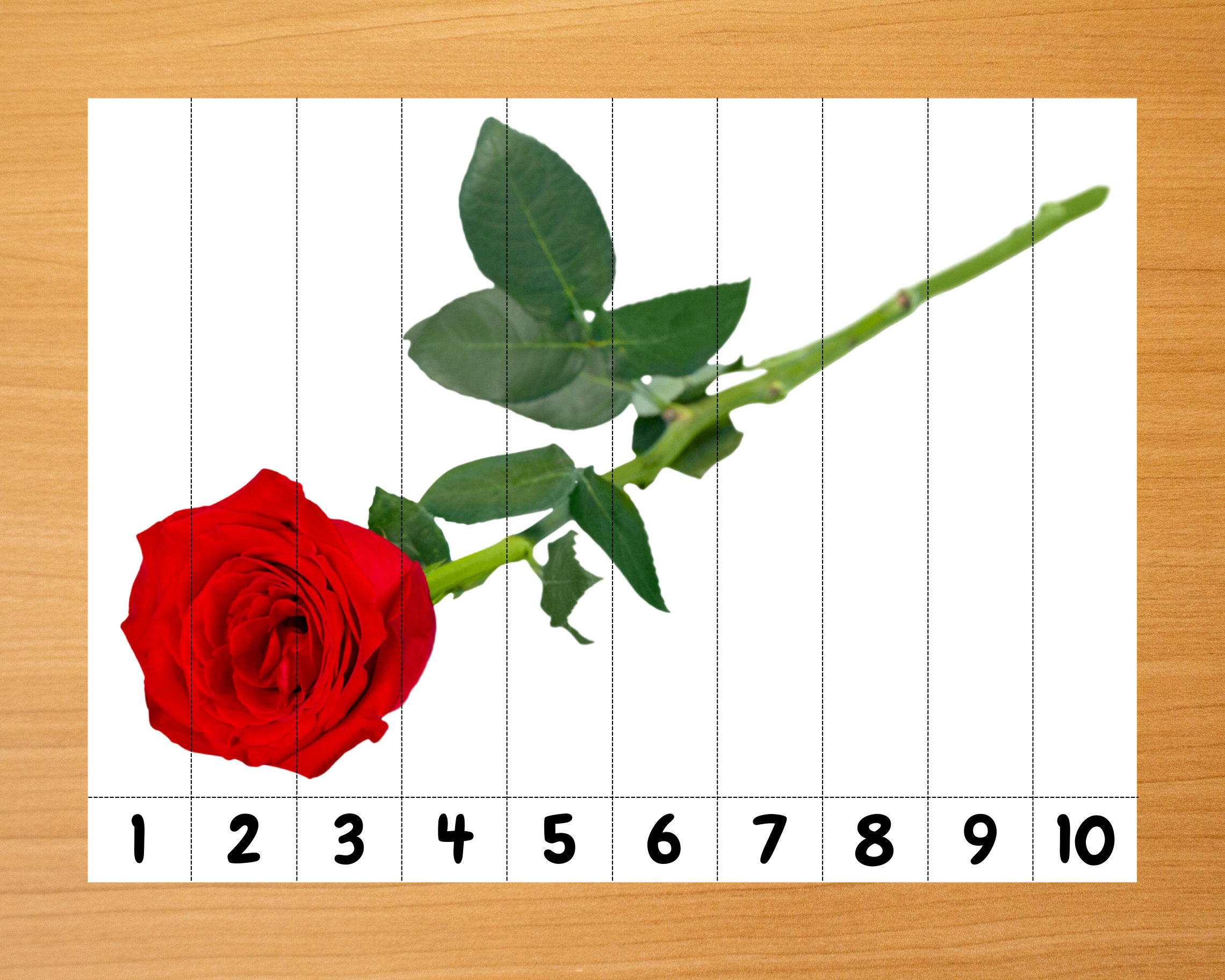 Flower Number Sequence Puzzles| Child Inspired Printables| Digital ...