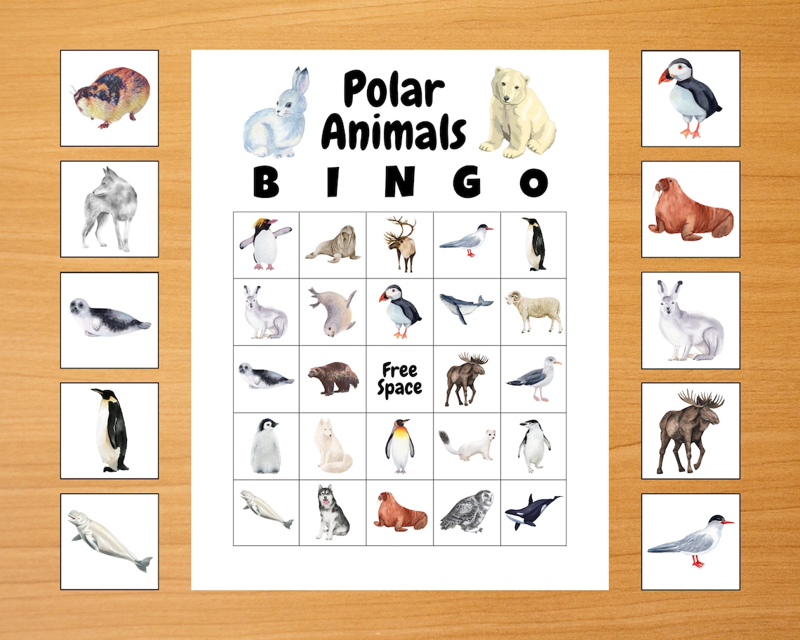 Polar Animals Bingo Digital Download Printable Play Based - Etsy