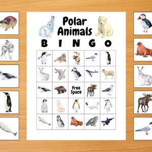 Polar Animals Bingo Digital Download Printable Play Based Activity ...