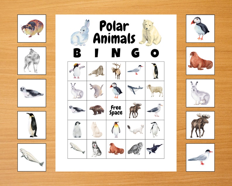 Polar Animals Bingo Digital Download Printable Play Based - Etsy