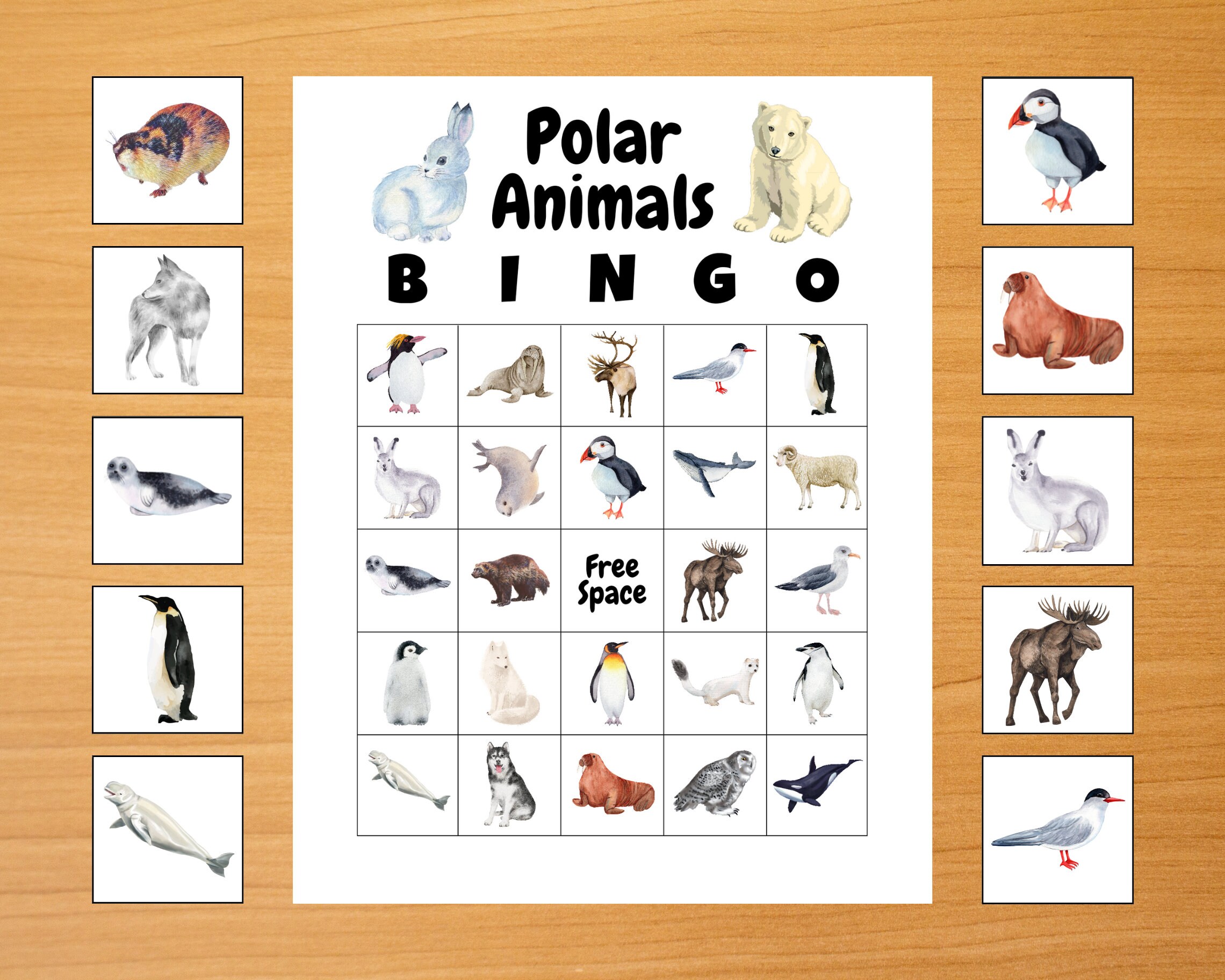 Polar Animals Bingo Digital Download Printable Play Based - Etsy