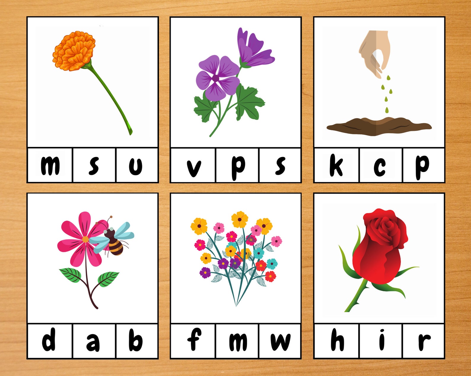 Flowers Beginning Letter Sound Clip Cards| Printable Digital Download ...