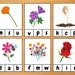 Flowers Beginning Letter Sound Clip Cards| Printable Digital Download ...