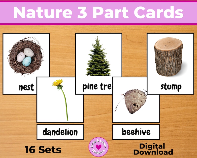Nature Theme 3 Part Cards| Printable Digital Download| Montessori ...