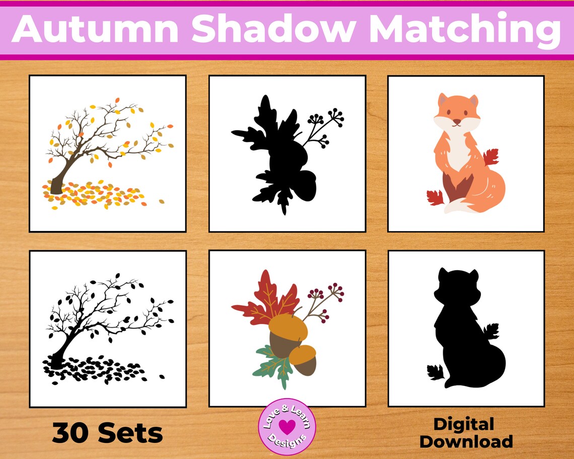 Autumn Shadow Matching Cards| Child Inspired Printables| Digital ...