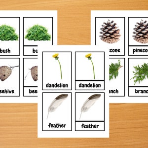 Nature Theme 3 Part Cards| Printable Digital Download| Montessori ...