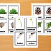 Nature Theme 3 Part Cards Printable Digital Download - Etsy