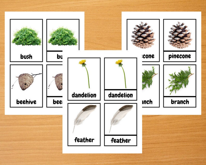 Nature Theme 3 Part Cards| Printable Digital Download| Montessori ...