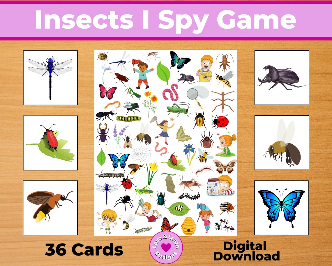 Insects I Spy Matching Game Digital Download| Printable Play Based ...