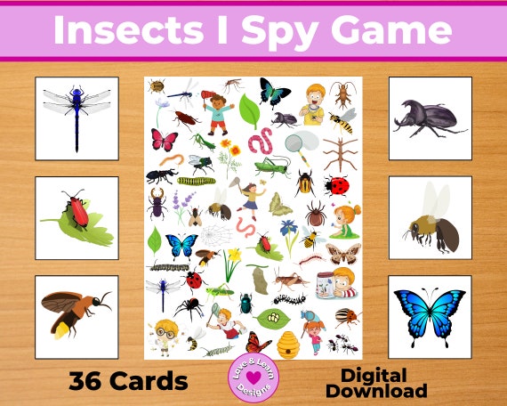 Insects I Spy Matching Game Digital Download Printable Play - Etsy Canada