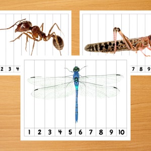 Insects Number Sequence Puzzles| Child Inspired Printables| Digital ...