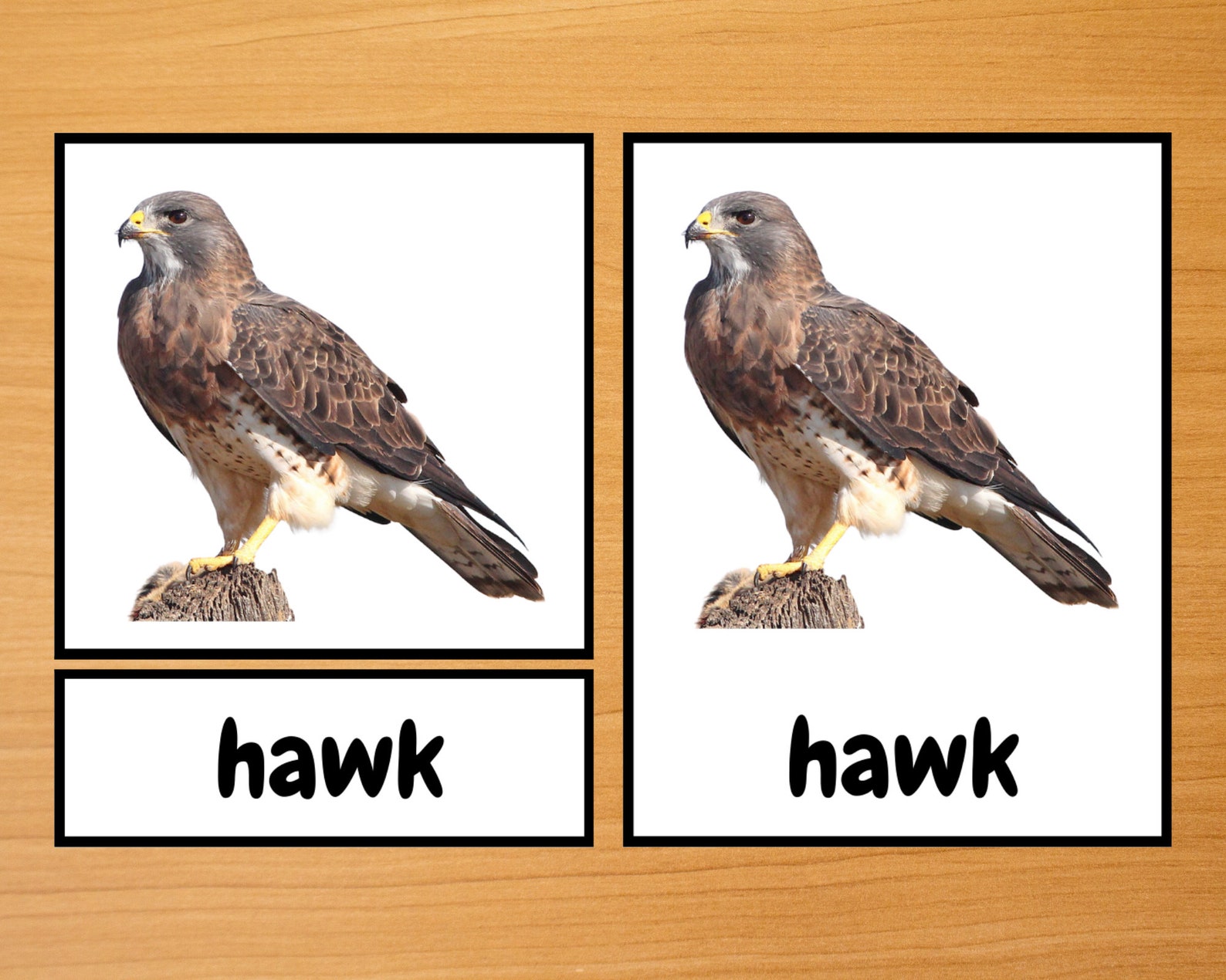 Woodland Animals Activity Bundle| Child Inspired Printables| Digital ...