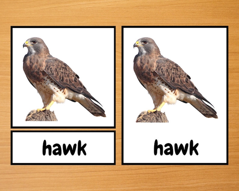 Woodland Animals Activity Bundle| Child Inspired Printables| Digital ...