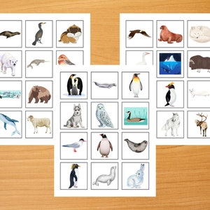 Polar Animals I Spy Matching Game| Digital Download| Printable Play ...