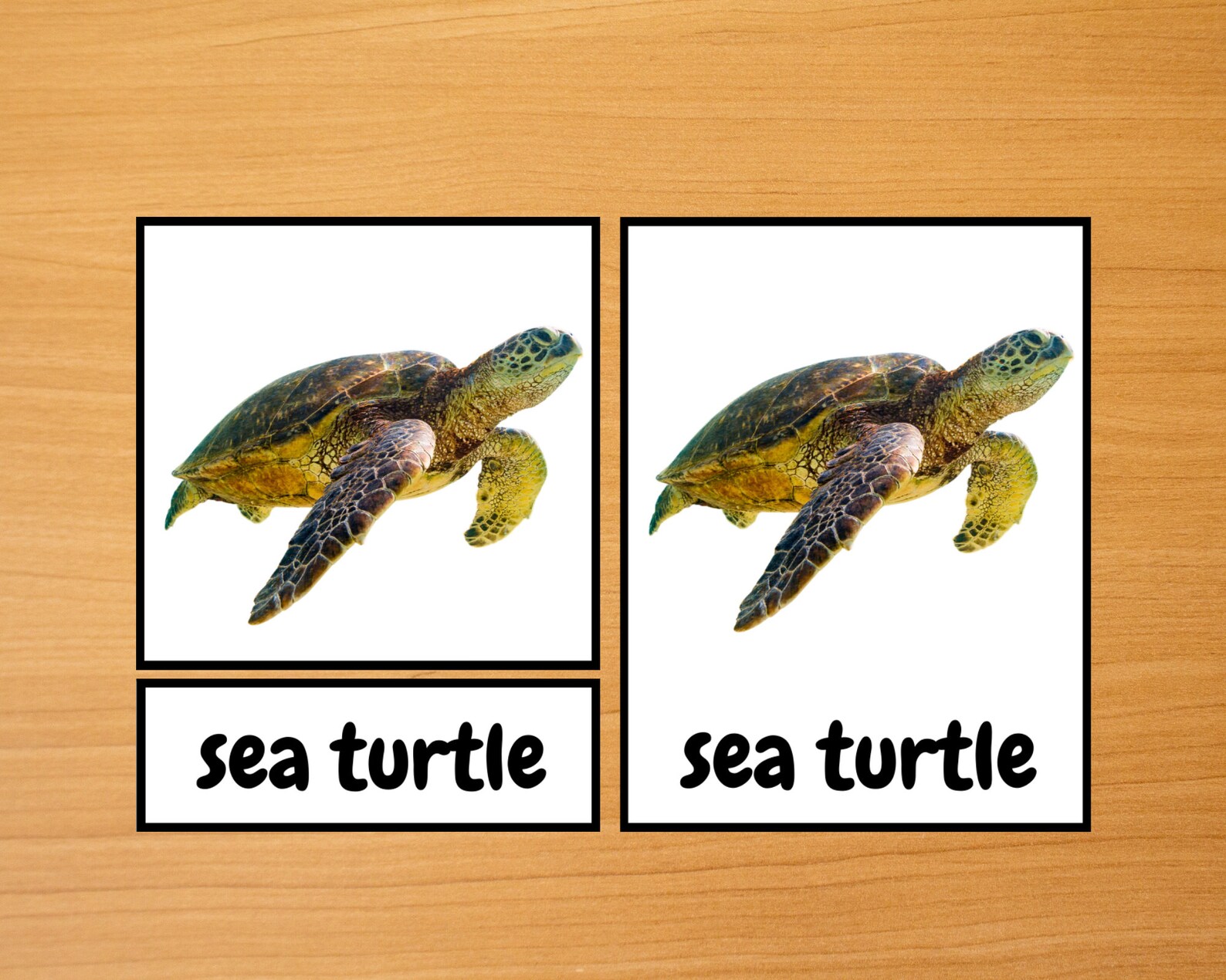 Ocean Animals Theme 3 Part Cards| Printable Digital Download ...