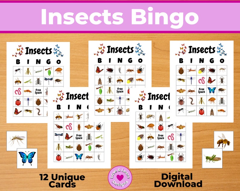 Insects Bingo Digital Download Printable Play Based Activity - Etsy