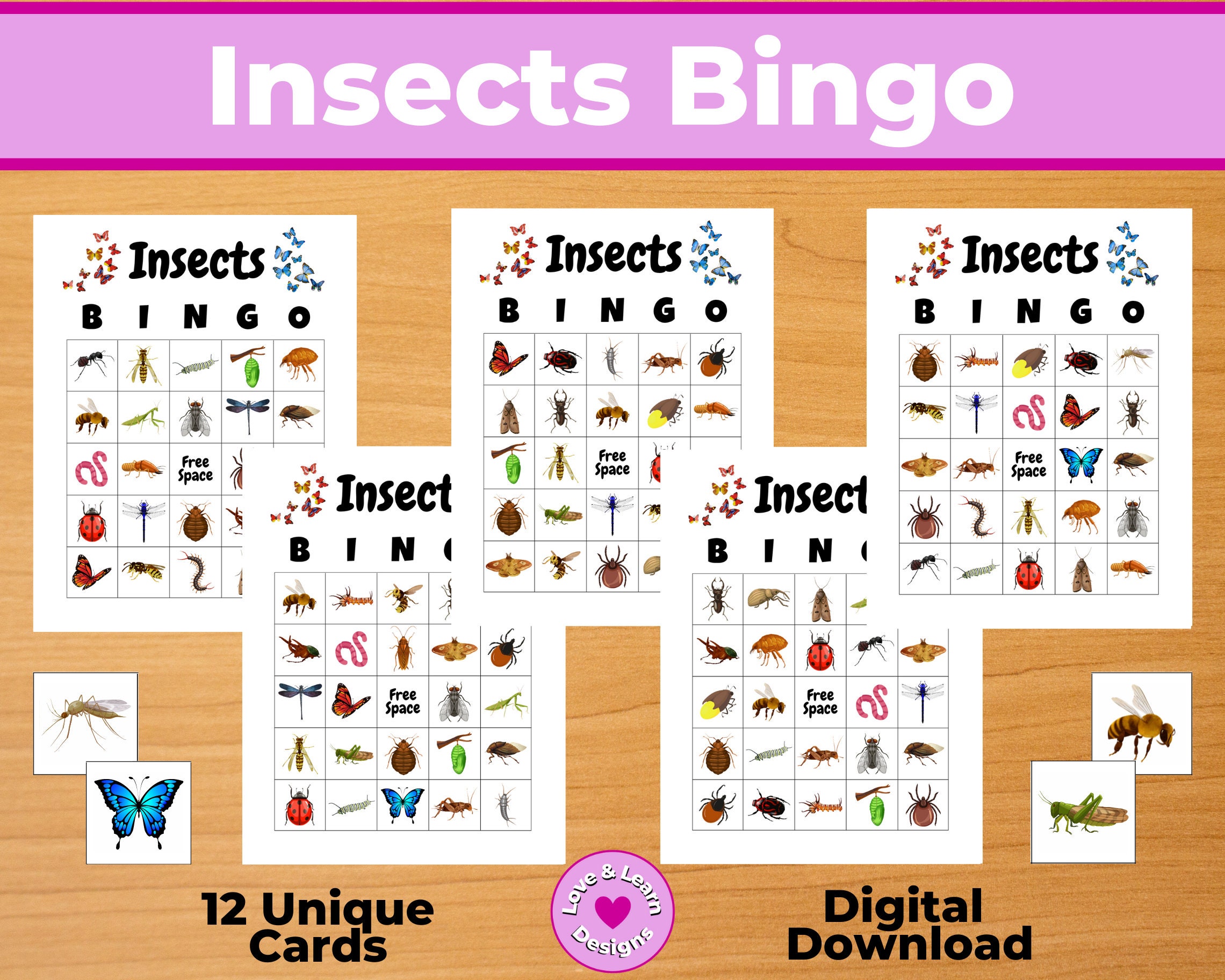 Insects Bingo Digital Download Printable Play Based Activity ...