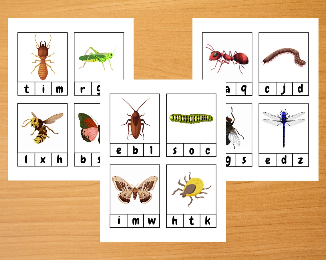 Insect Beginning Letter Sound Clip Cards| Printable Digital Download ...