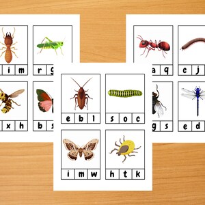 Insect Beginning Letter Sound Clip Cards| Printable Digital Download ...